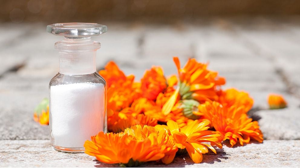 anthroposphic medicine, how the fresh calendula flo